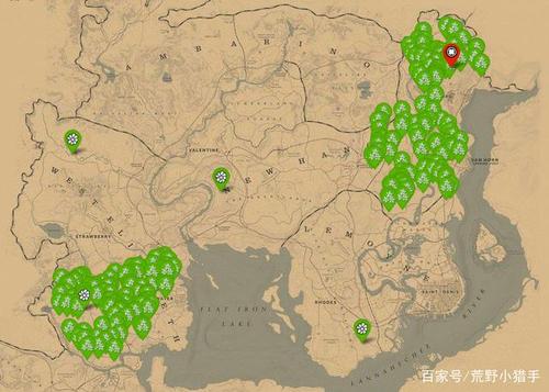 荒野大镖客2藨子所有位置图标