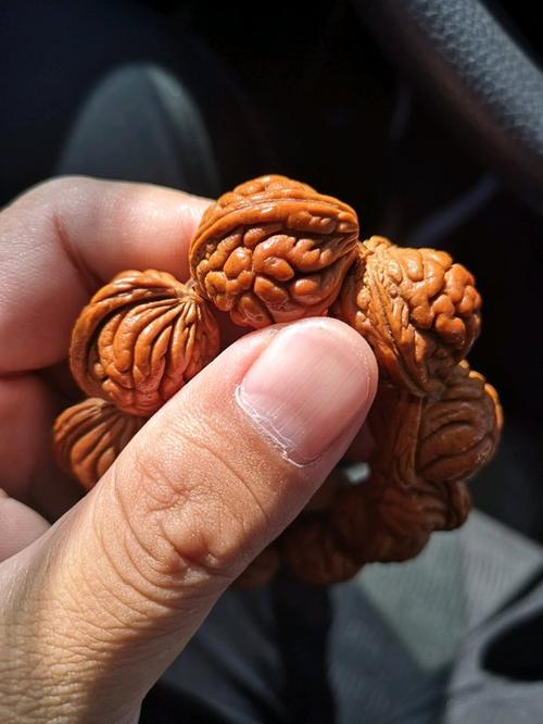 龙纹桃核缝隙里刷不干净图标