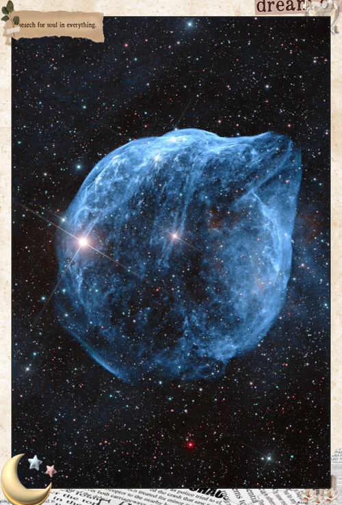 海星云星瀛科技图标