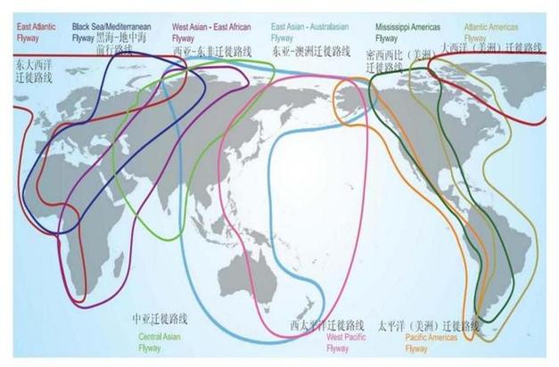 高德地图更改家的位置图标