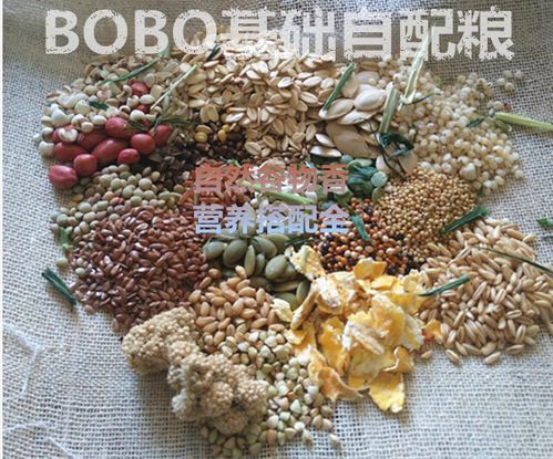 仓鼠吃的五谷杂粮图标