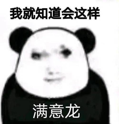 熊猫表情含义图解大全图标