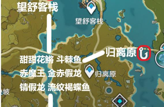 赤金假龙用什么鱼饵图标