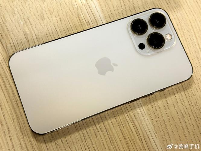 苹果手机官网13pro图标