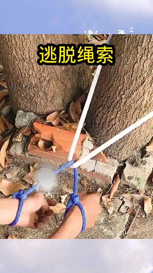 绑绳逃脱原理图标