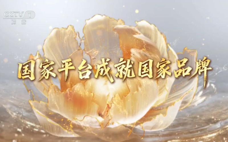 国家平台成就强国品牌