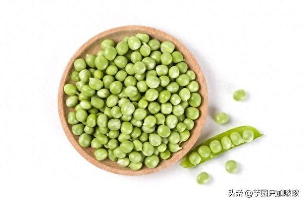 黄豌豆和青豌豆的区别截图