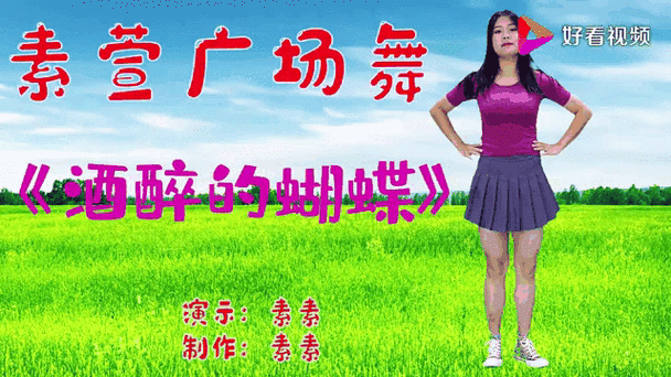 酒醉的蝴蝶现场版缩略图