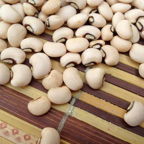 和黄豆一样的白色豆子是什么图标