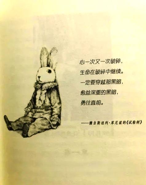 恋上一只兔截图