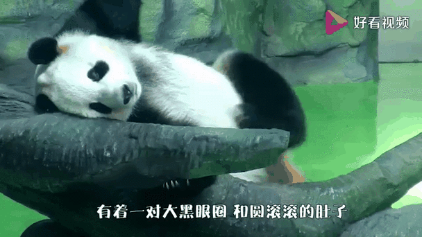 熊猫省钱是真的吗图标