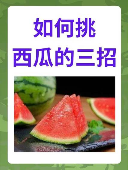 挑选西瓜记住6字口诀图标