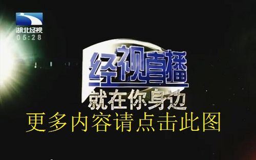 湖北经视直播回放 服务人数图标