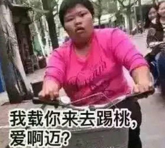 潮汕迈姐表情包原图图标
