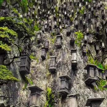 旅者之憩蜂箱怎么用图标