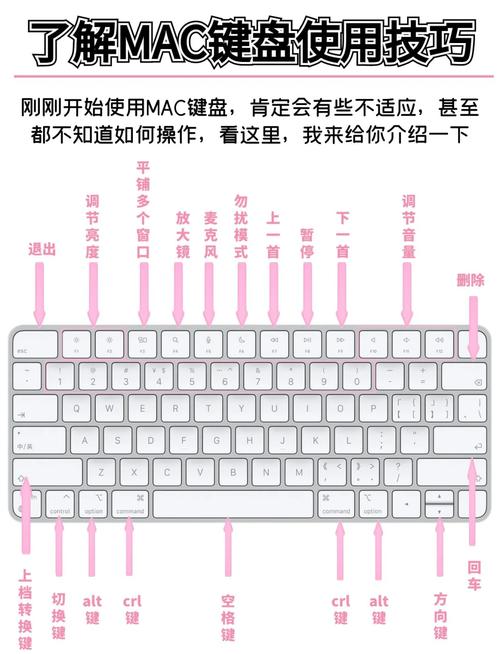 苹果键盘如何大写字母截图