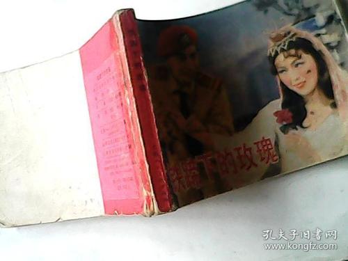 铁蹄下的玫瑰图标
