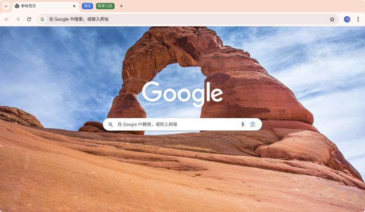 google浏览器中文版截图