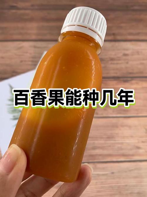 香味大全100种截图