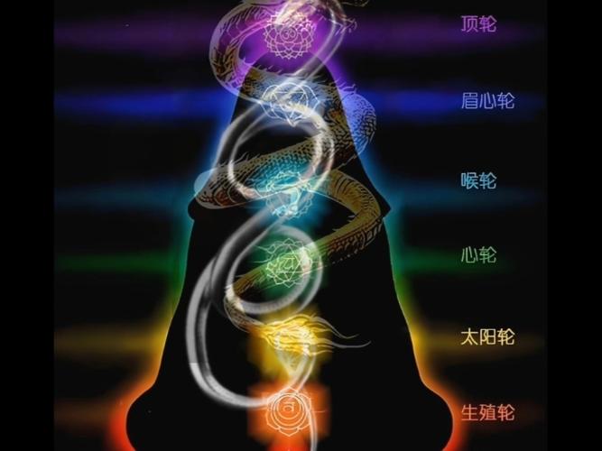道家提升能量最快方法图标
