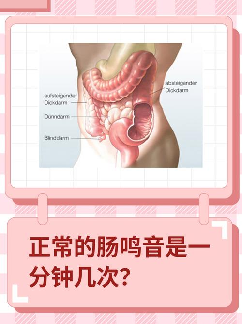 肠鸣最简单的解决办法图标