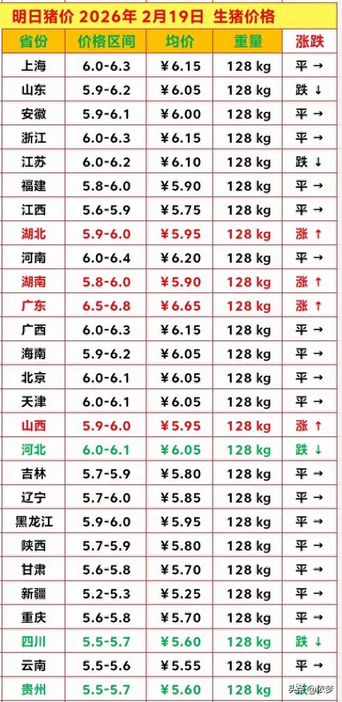 今日猪价查询图标