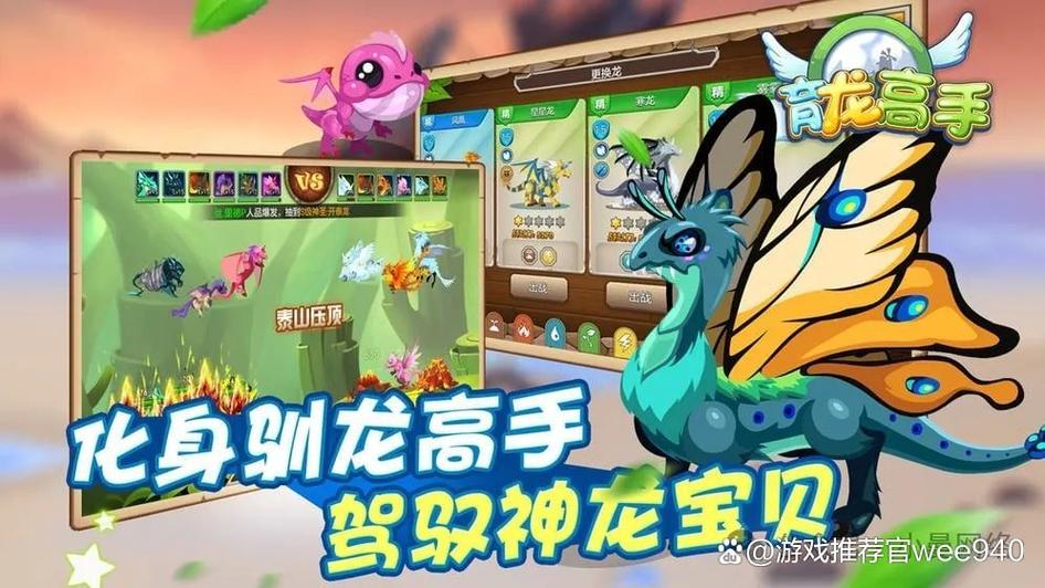 育龙高手图标