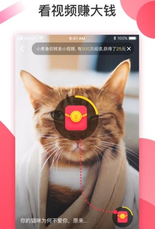 魔视短视频下载图标