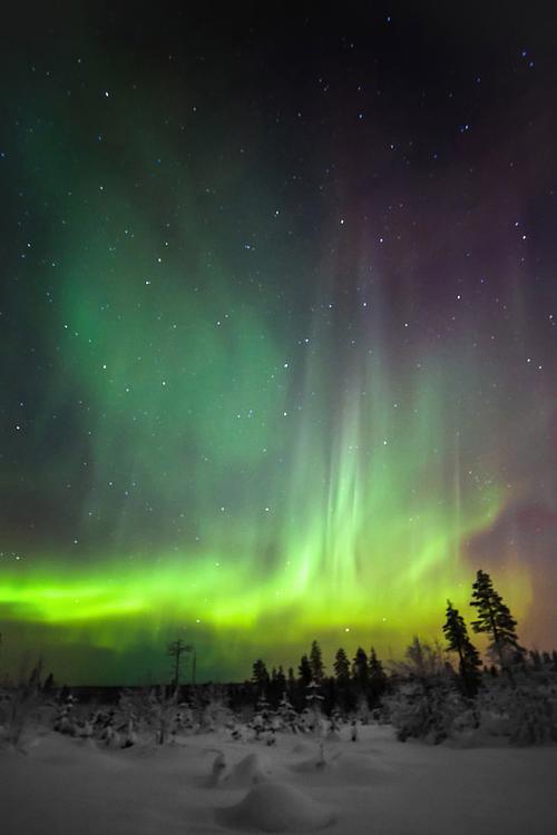极光aurora下载图标