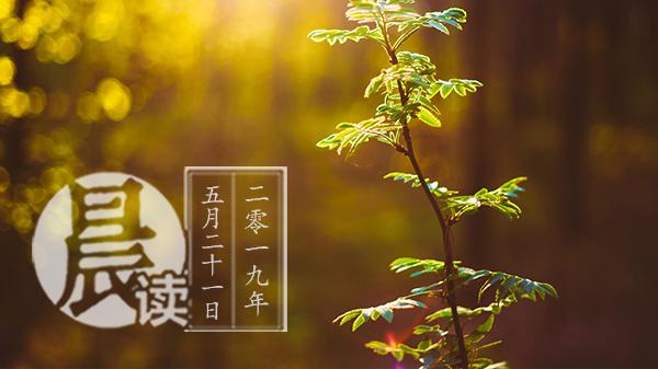 oppo手机每天早上自动播放新闻图标