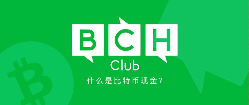 bch是什么币图标