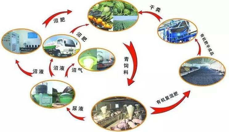 农业生态链的循环图截图