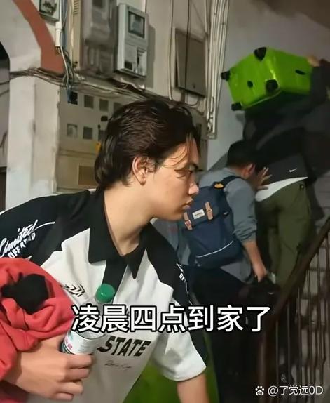 上纲上线都是什么人截图
