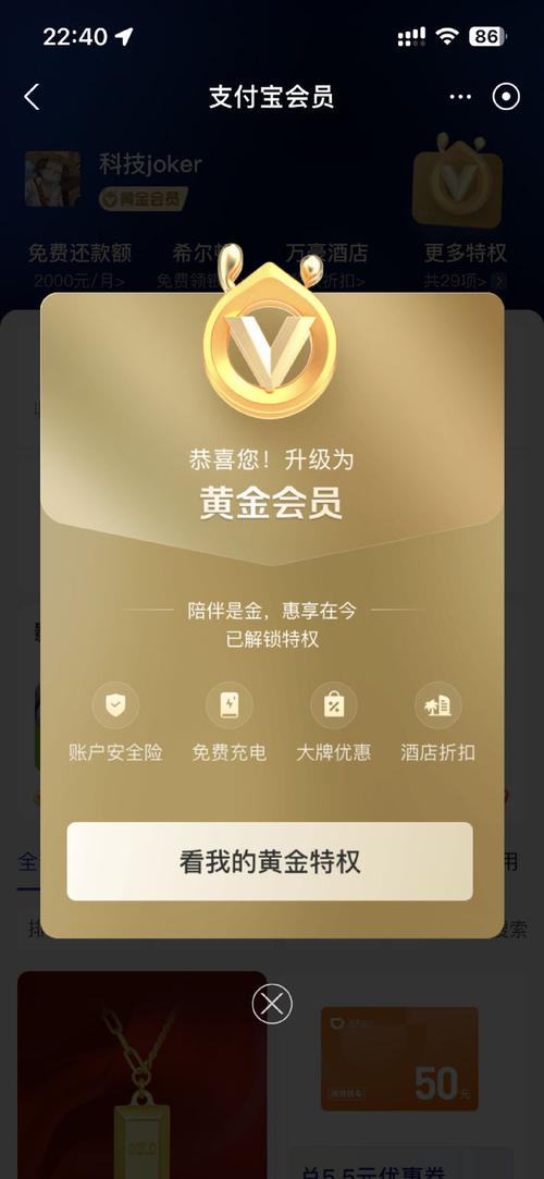黄金会员是什么
