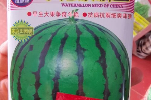 麒麟西瓜种子最好品种图标