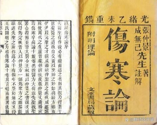《伤寒论》图标