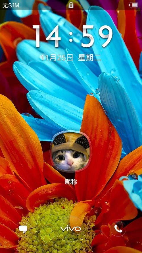 vivo官方刷机包图标