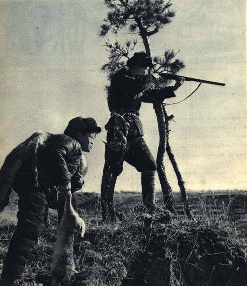 60年代猎人的特点图标