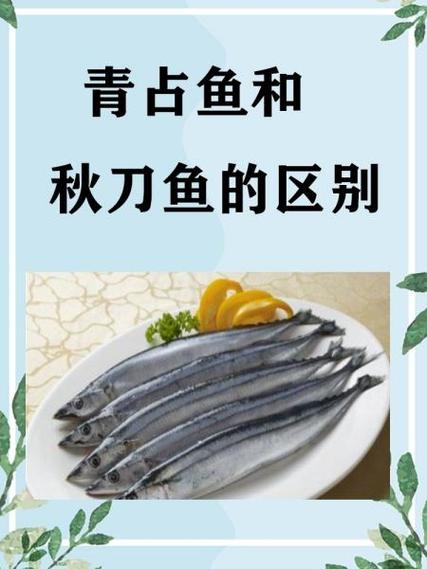 青花鱼和鲭鱼是一样吗截图