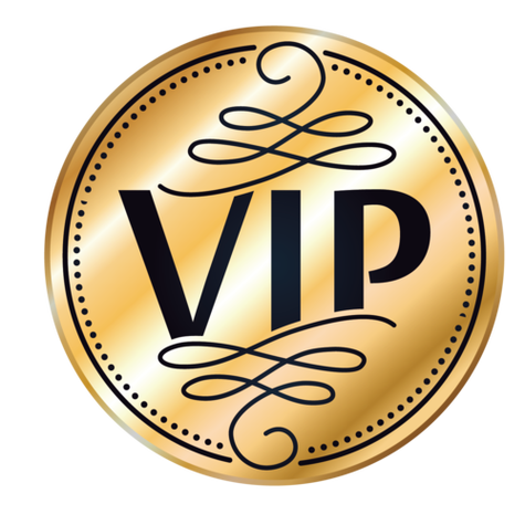 vip字母符号截图