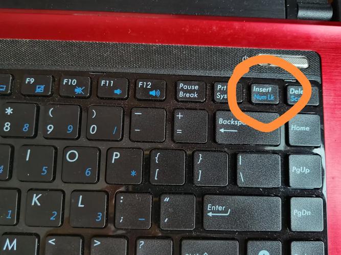 电脑个别字母键盘打不出字
