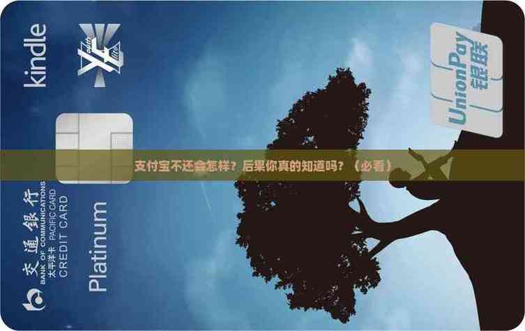 支付宝不还有什么后果图标