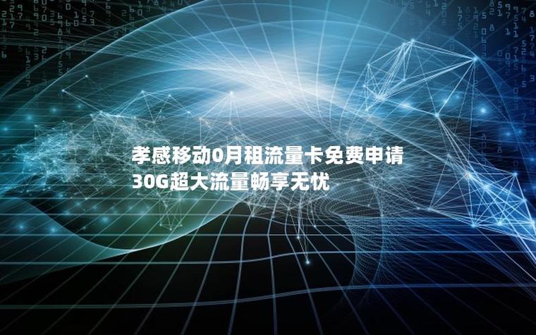 无月租流量卡图标