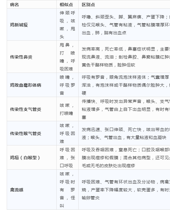 wps打开表格很慢是什么原因图标