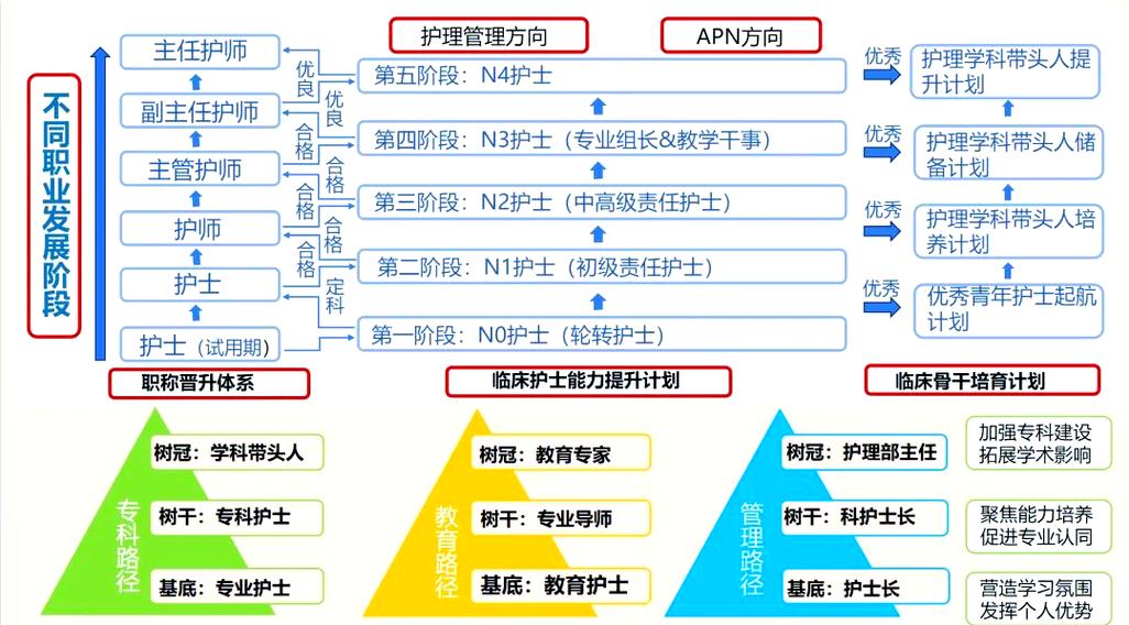 个人职业发展路径怎么写截图