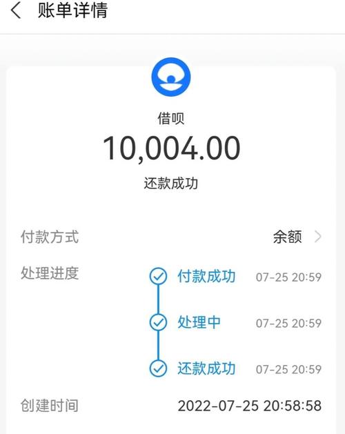 有极借花还款成功的吗?