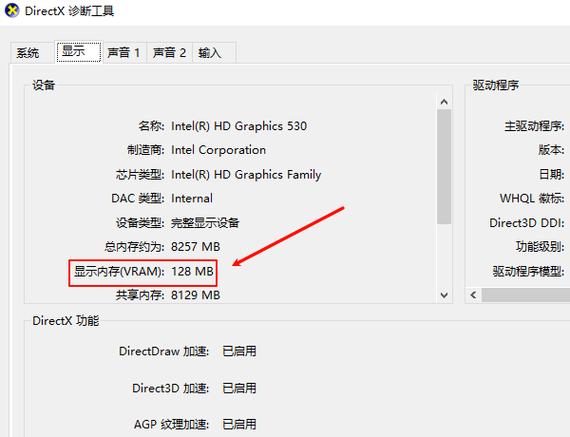 GTX980鲁大师检测不显示显存图标