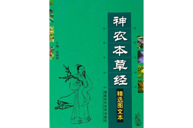 神农本草经的作者图标