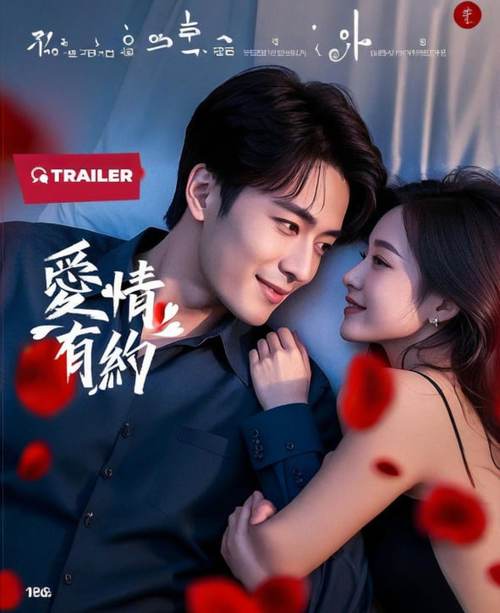 看电视剧在线图标