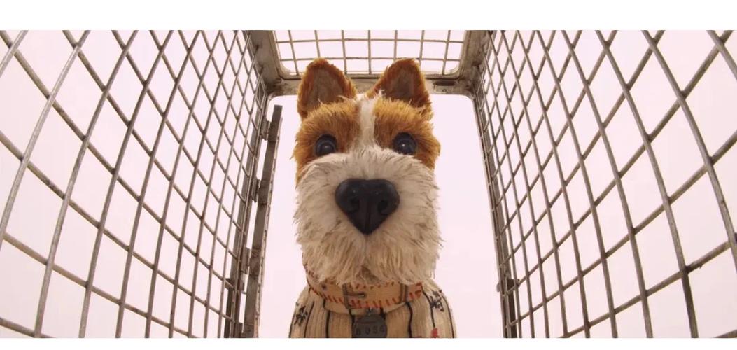 犬之岛图标